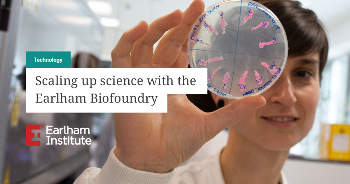 Scaling up science with the Earlham Biofoundry | Earlham Institute